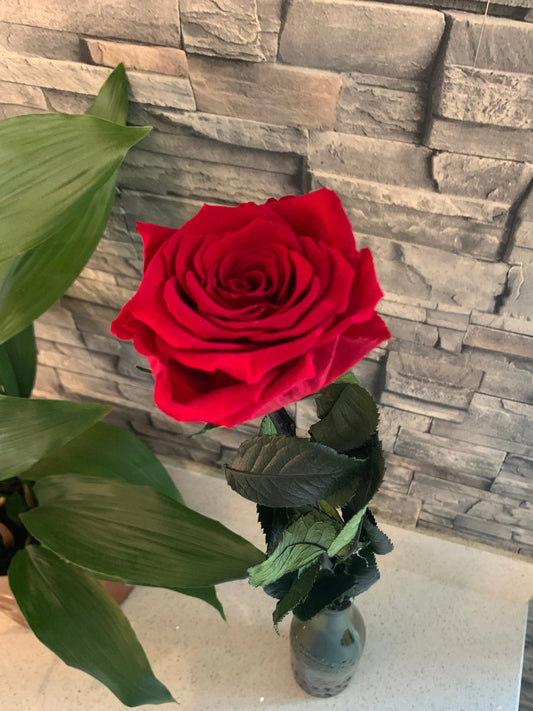 Valentine's Day Flowers that last for Your Loved One – The Dried Flower ...