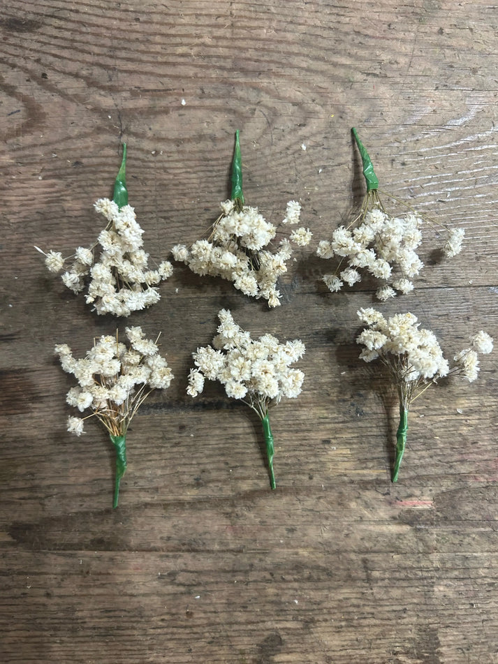 Dried Gyp Hair Pins / Dried Gypsophila Wedding - The Dried Flower Shop